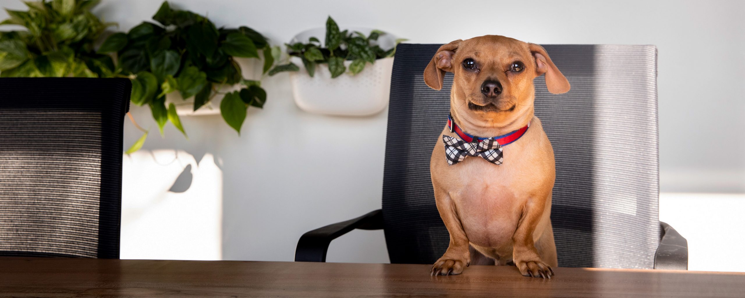 Creative Department | Careers in Marketing & Advertising